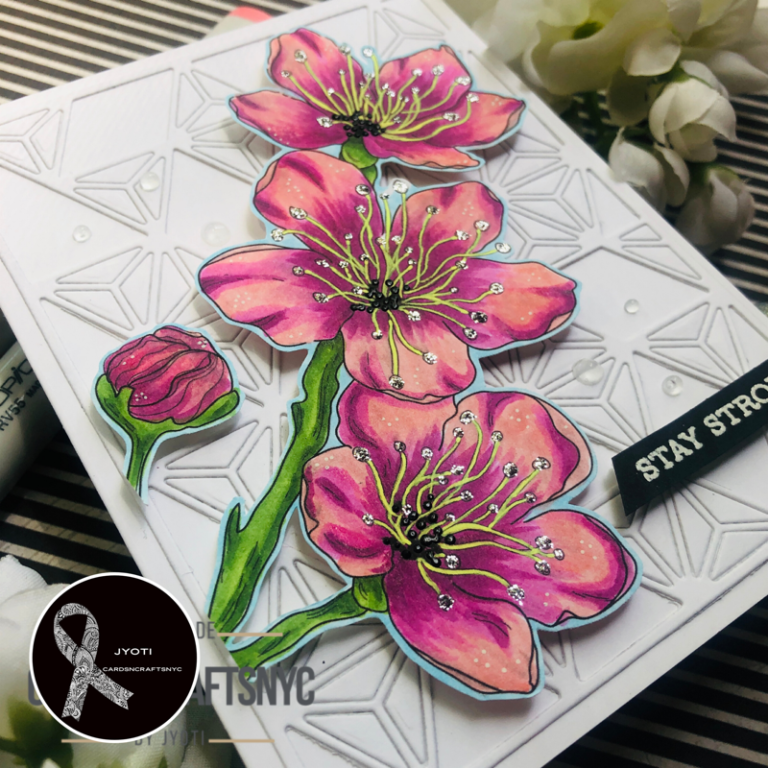 EDS/HSD AWARENESS MONTH AND HOP - CARDSNCRAFTSNYC