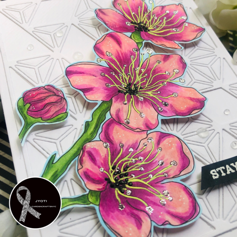 EDS/HSD AWARENESS MONTH AND HOP - CARDSNCRAFTSNYC